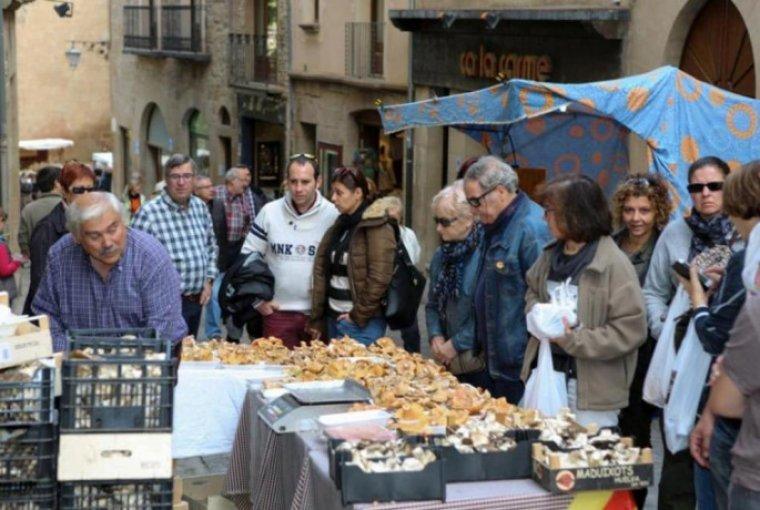Las setas son los protagonistas del fin de semana en el Solsonès