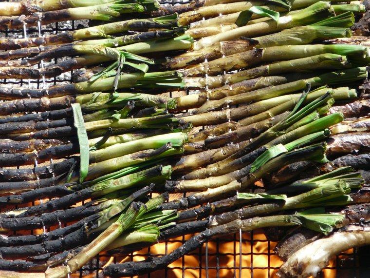 Temps de calçots