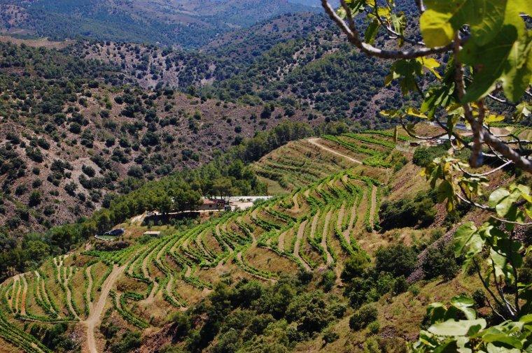 El Priorat
