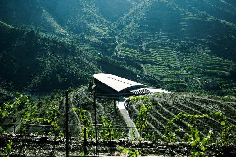 El Priorato, tierra de vinos