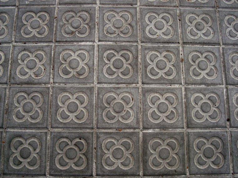 La història del panot de flor