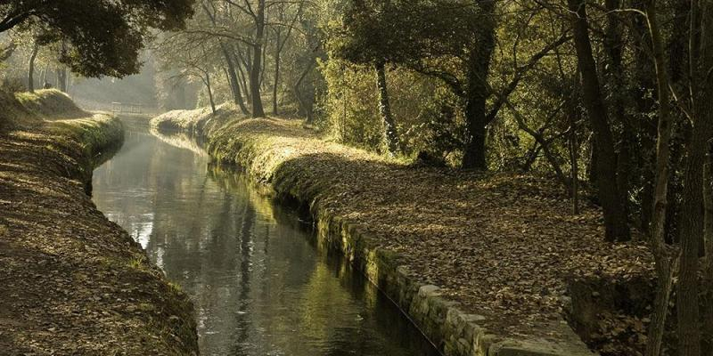 Descubre el Camino Oliba a pie