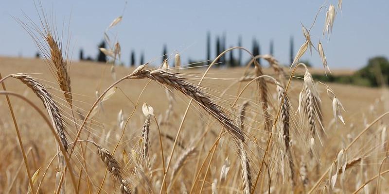 Que dice el refranero popular de Semana Santa